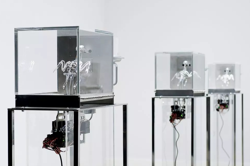 Выставка Мэта Колишоу «THE MACHINE ZONE» в Галерее Гари Татинцяна - Москва 2025